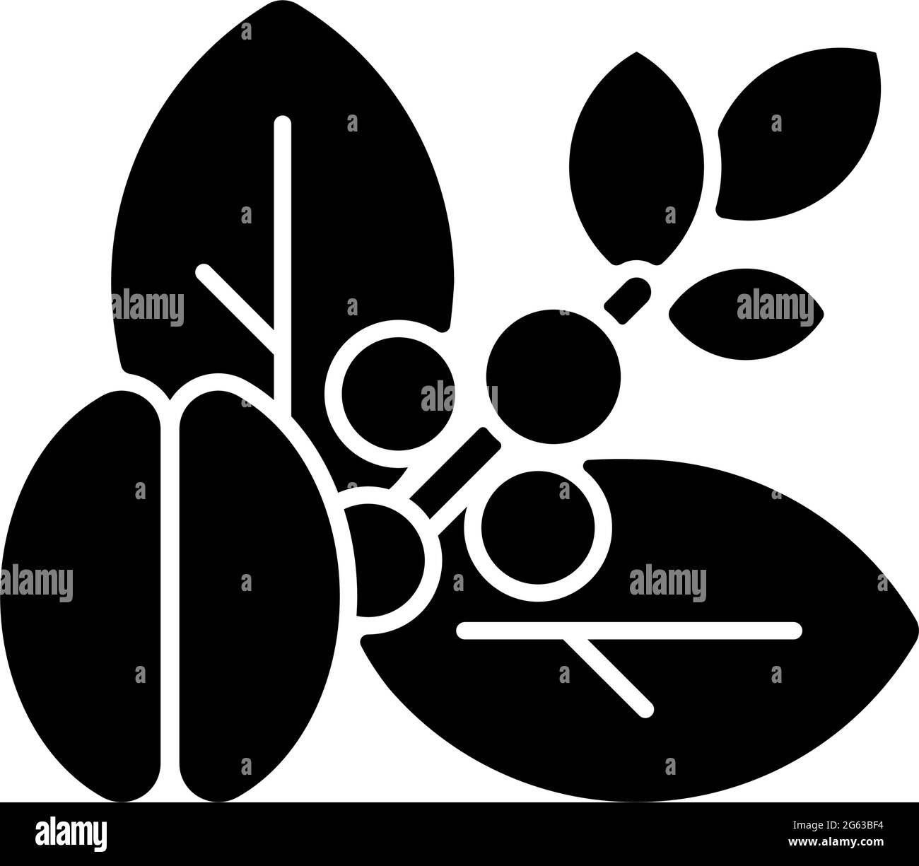 Coffee beans clipart Black and White Stock Photos & Images - Alamy