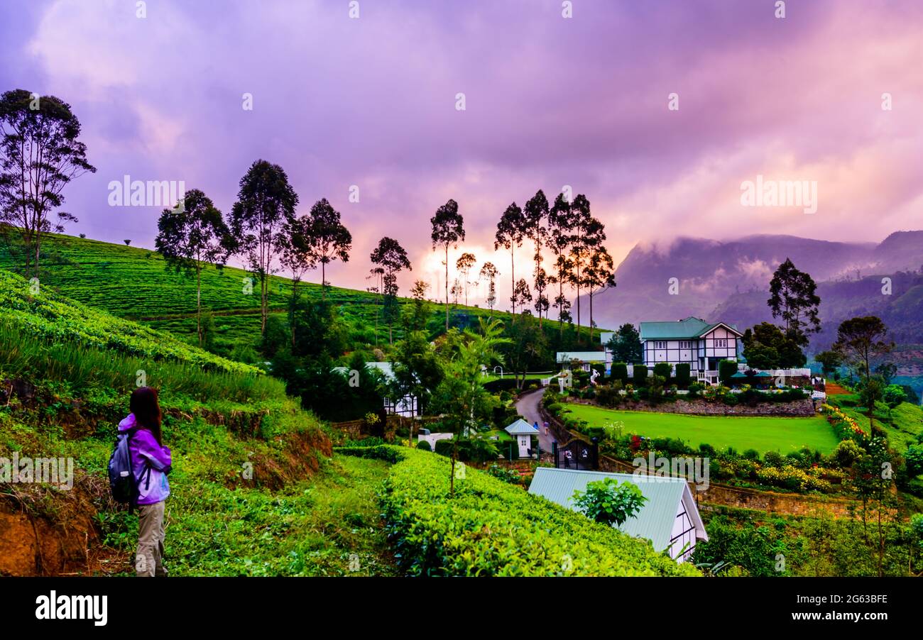 Nanu Oya, Nuwara Eliya, Sri Lanka - September 14 2016: A tourist was ...