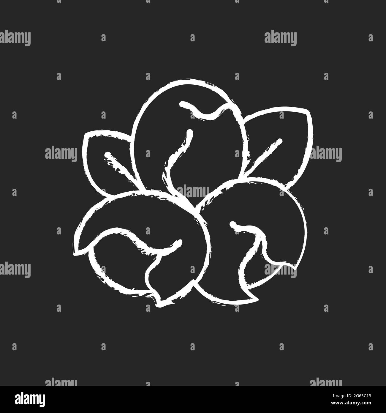 Roasted nuts, on white Stock Vector Images - Alamy