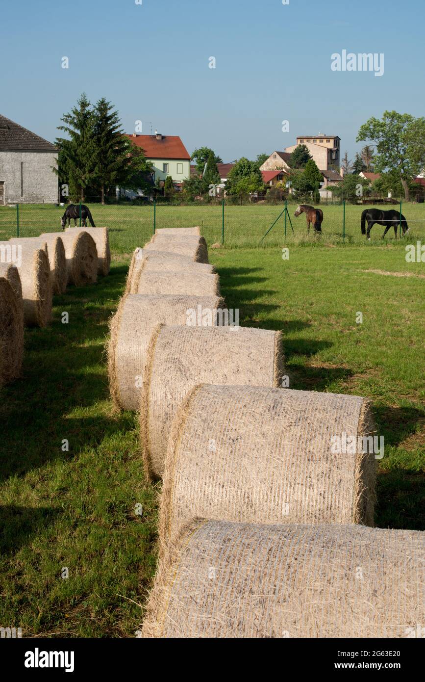 Hay bales in front of a horse paddock Stock Photo - Alamy