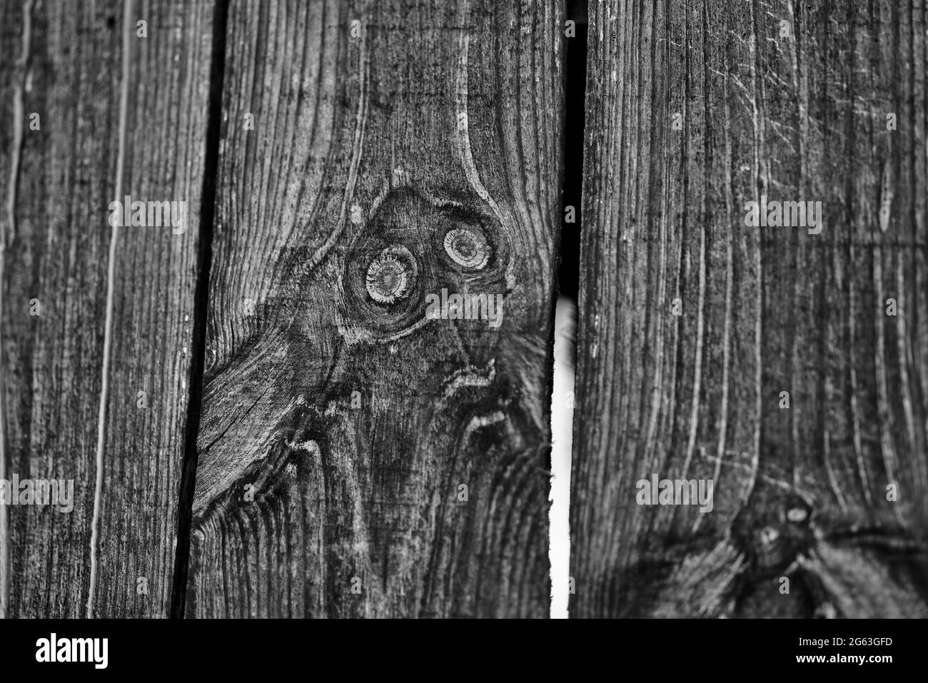 scared face on the texture of a piece of wood (natural shape Stock ...