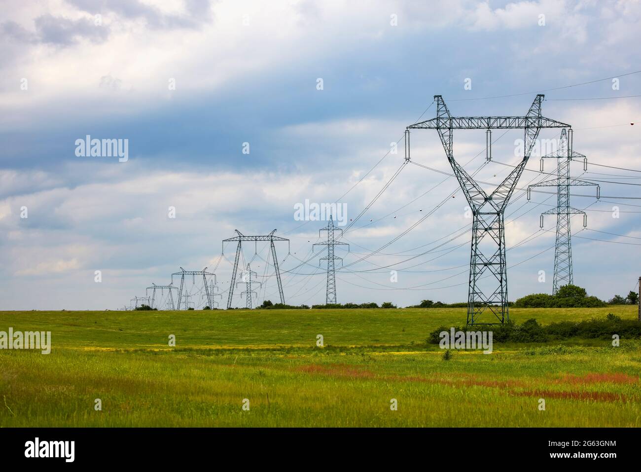 high voltage electric poles on a field with spring flowers Stock Photo ...