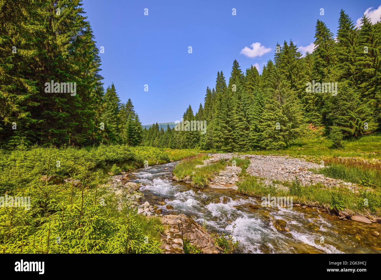 Beautiful mountain landscape with green forest and a river Stock Photo ...