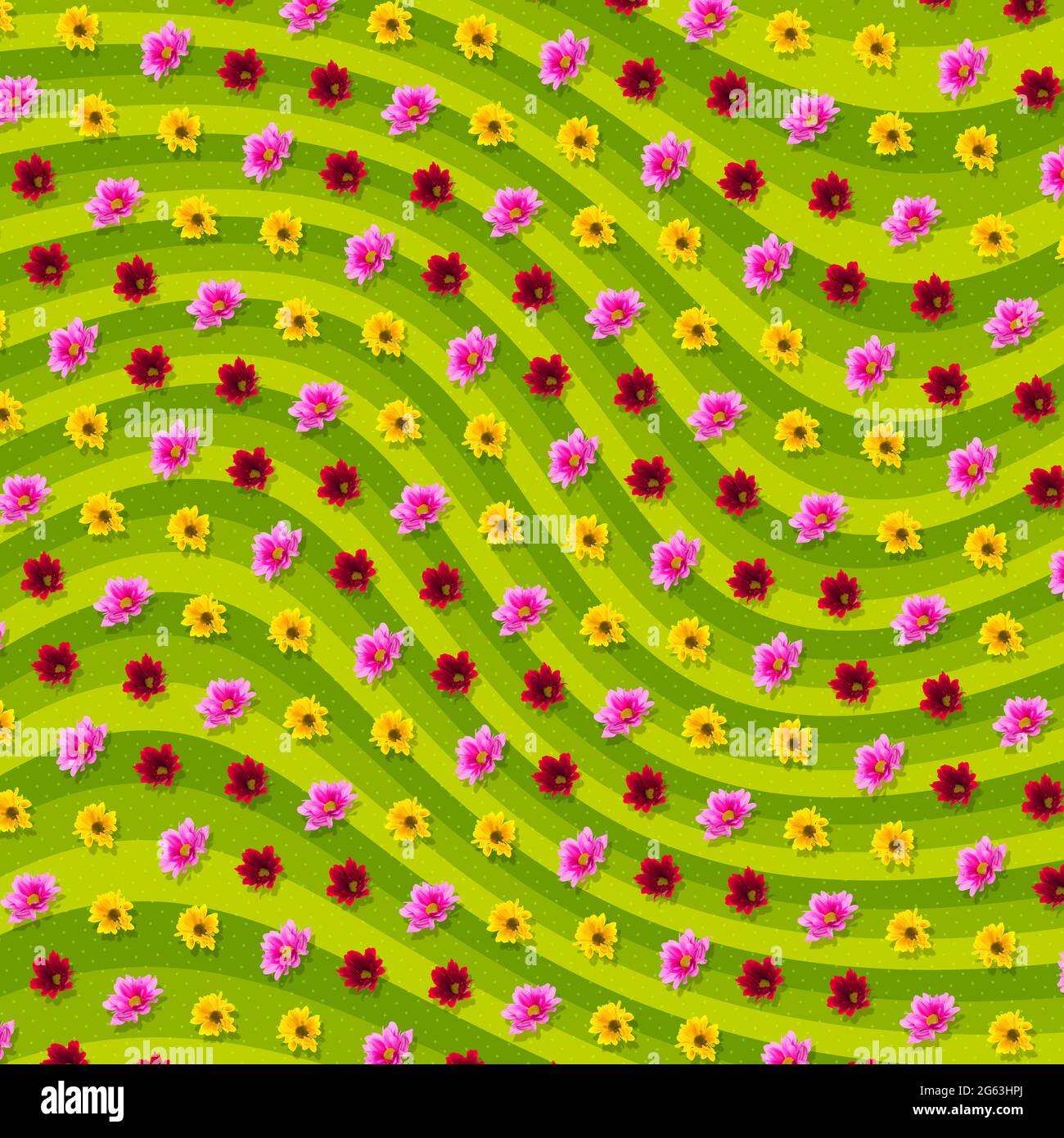 Creative pattern of colorful flowers on bright green background ...