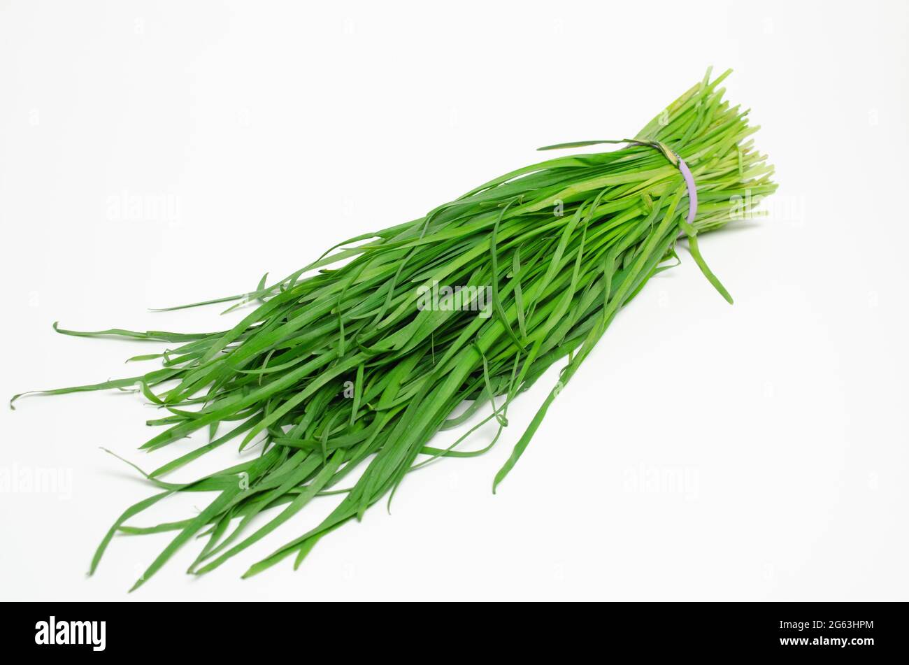 Fresh chives isolated on white background Stock Photo - Alamy