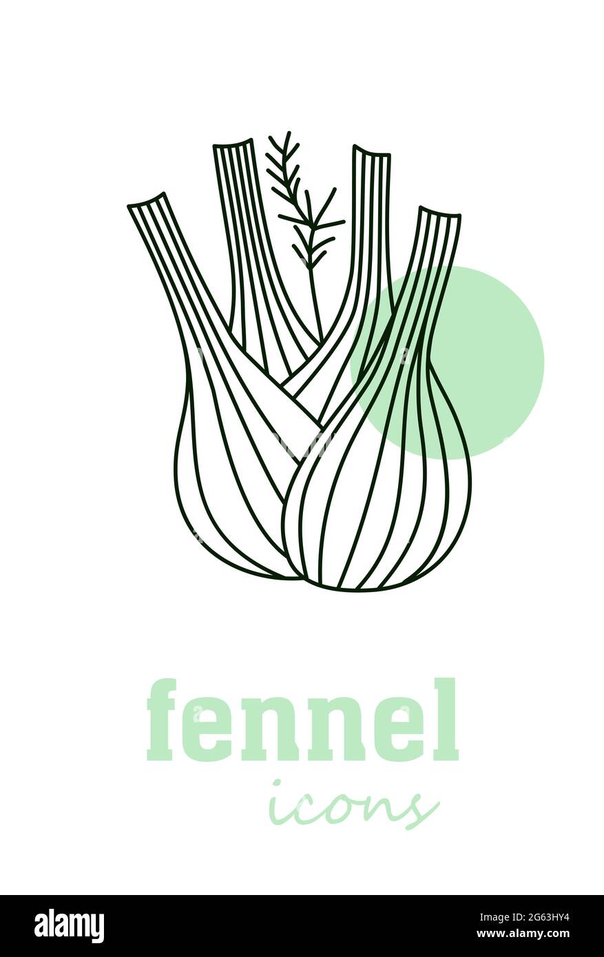 Fennel Stock Vector Images - Alamy