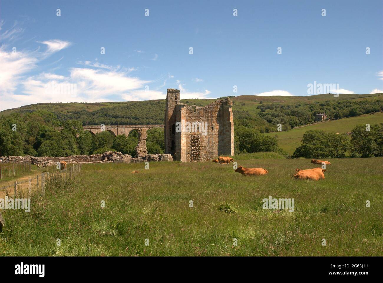 Edlingham castle hi-res stock photography and images - Alamy