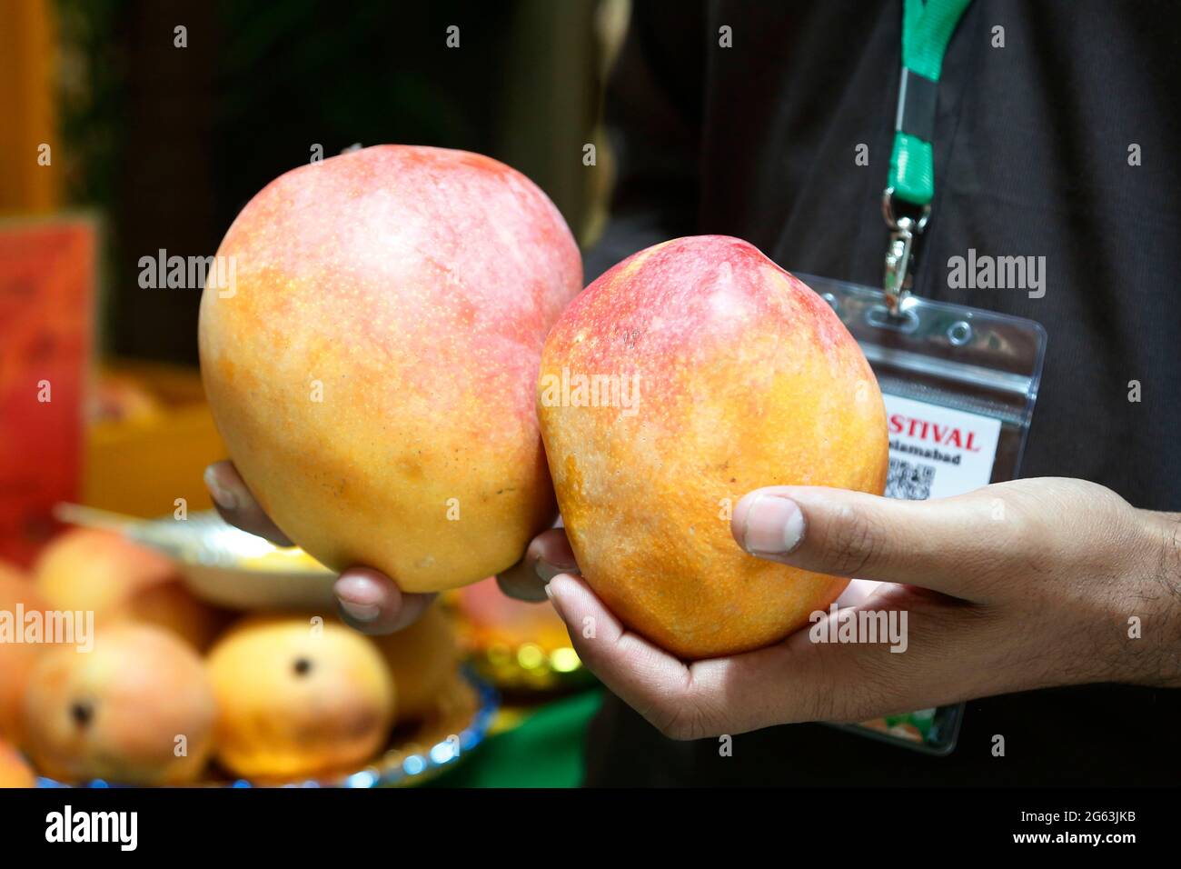 Islamabad, Pakistan. 2nd July, 2021. A person holds mangos at a mango ...