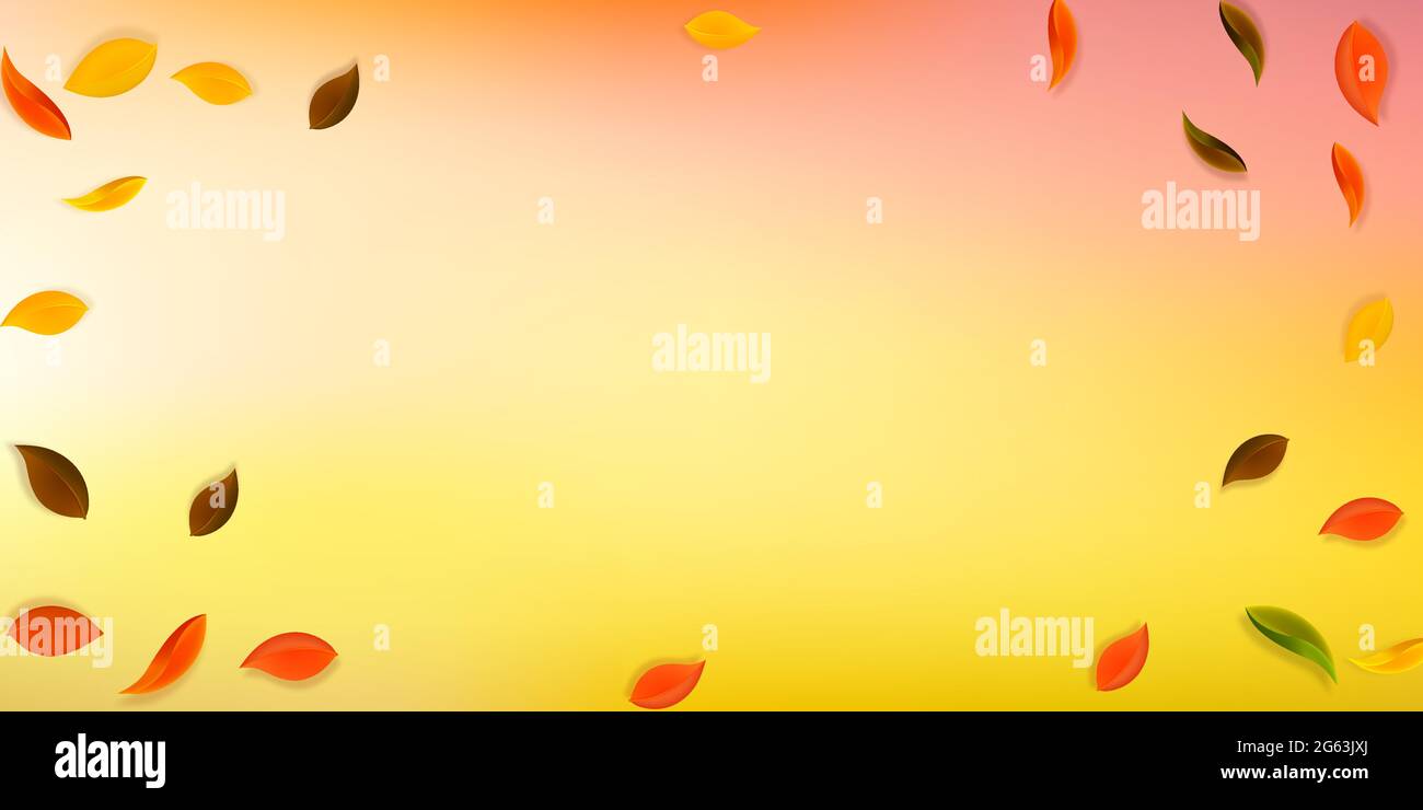 Falling autumn leaves. Red, yellow, green, brown neat leaves flying ...