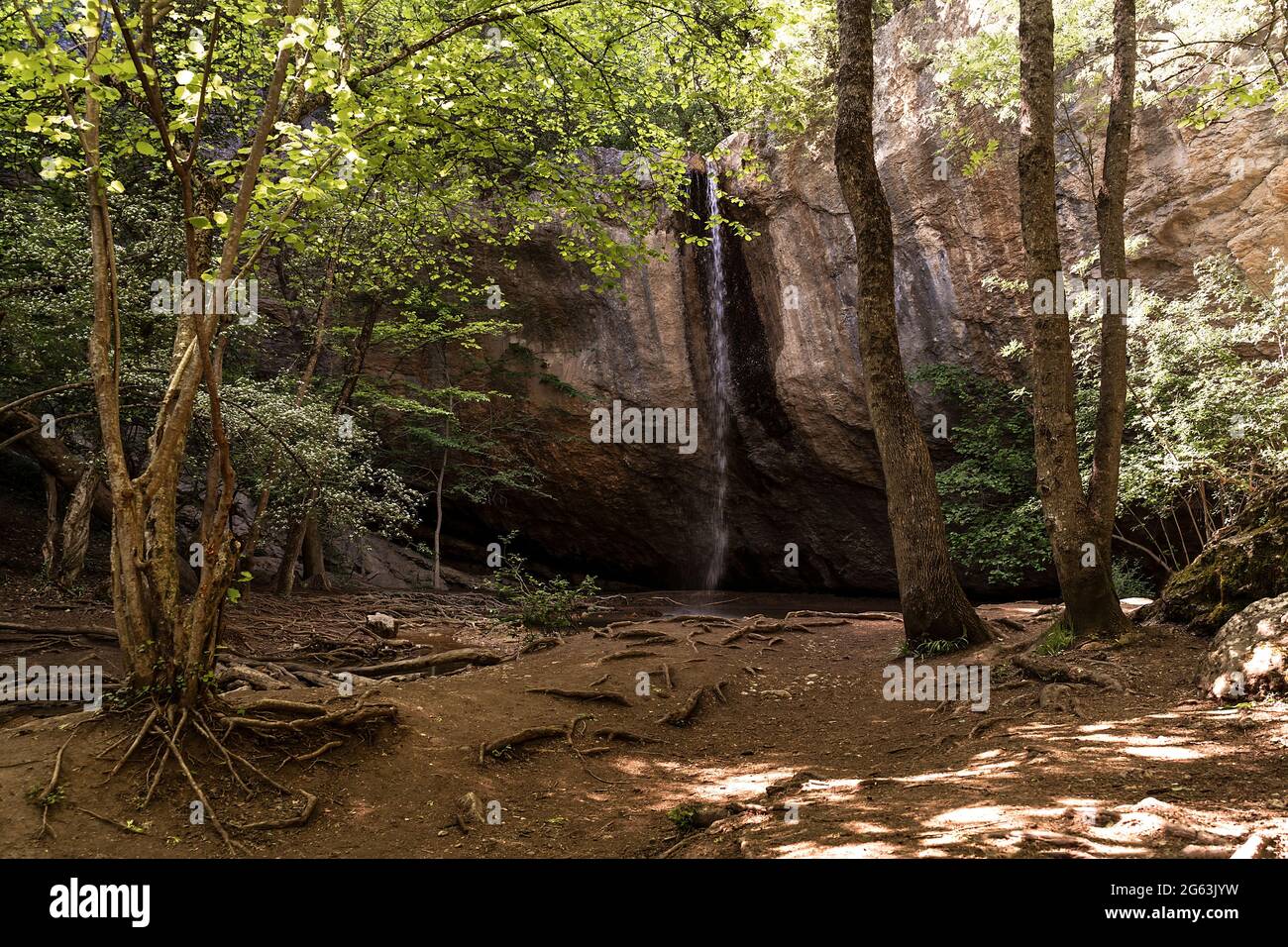 Picturesque small waterfall flows into the forest pond. Beautiful ...