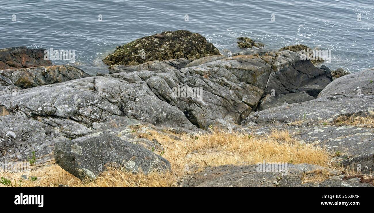 Esquimalt bc hi-res stock photography and images - Alamy
