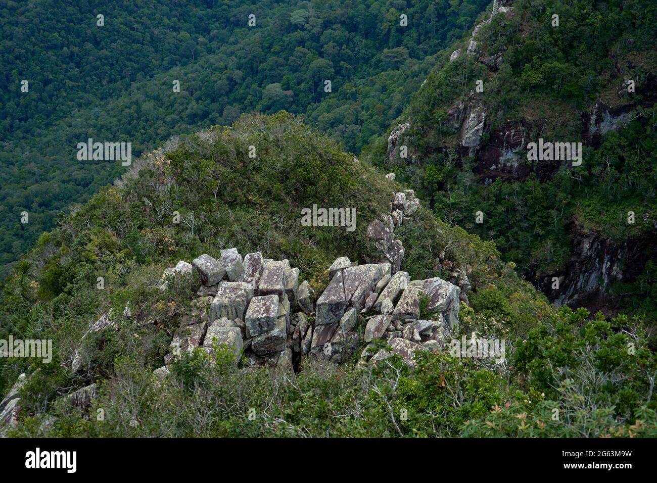 Stone cliffs in the dense jungle of Asia. Untouched nature Stock Photo ...