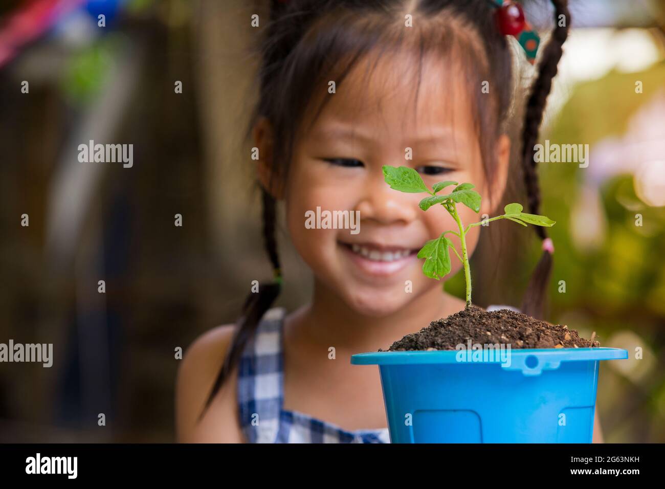 Cute children look with love at green sprout in blue pot. happy smiles ...