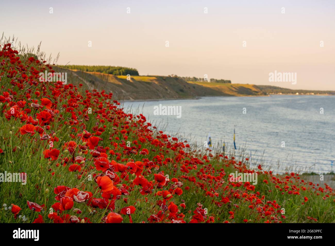 View of beautiful ocean coast with sloping grassy hills and endless ...