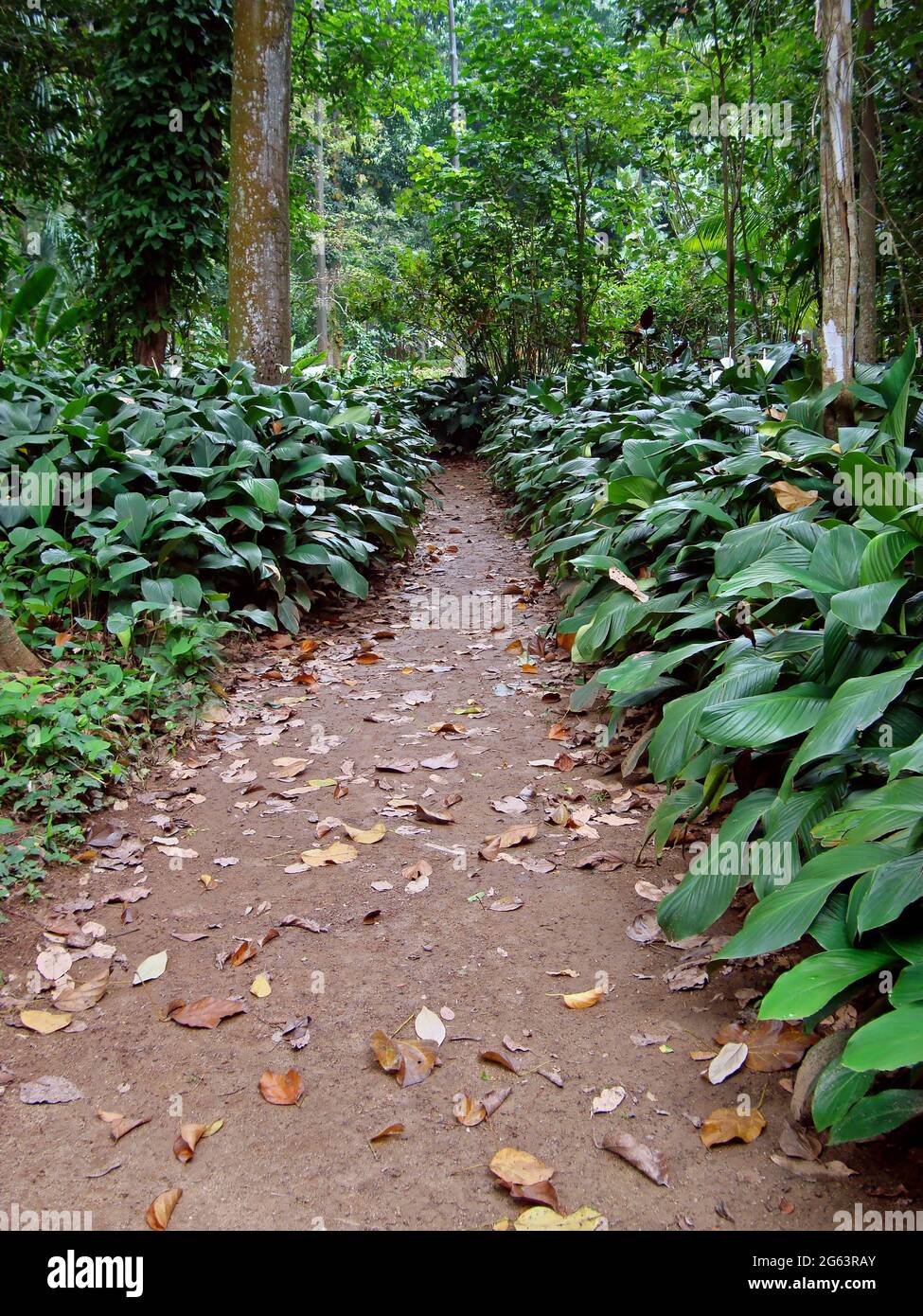 Public park pathway hi-res stock photography and images - Alamy