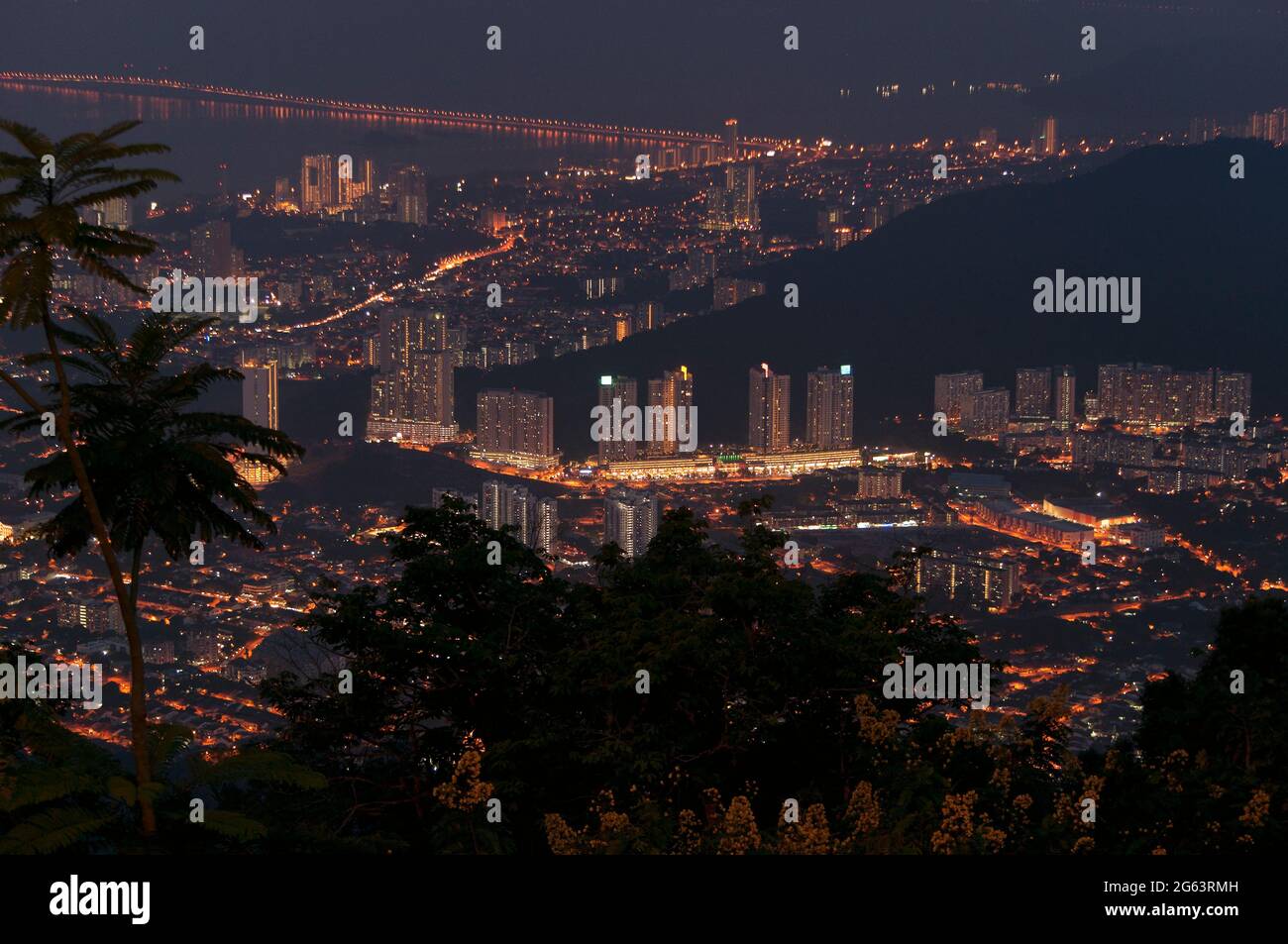 The silhouette of palm trees with a night view of the city of air itam ...