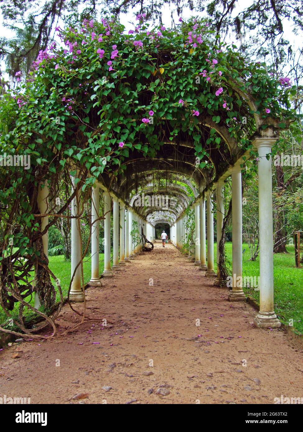 Arched pergola hi-res stock photography and images - Alamy