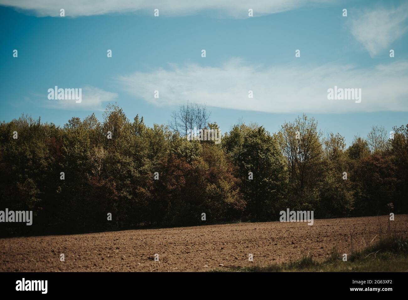 Landscape of a brownfield with trees background under a cloudy sky ...