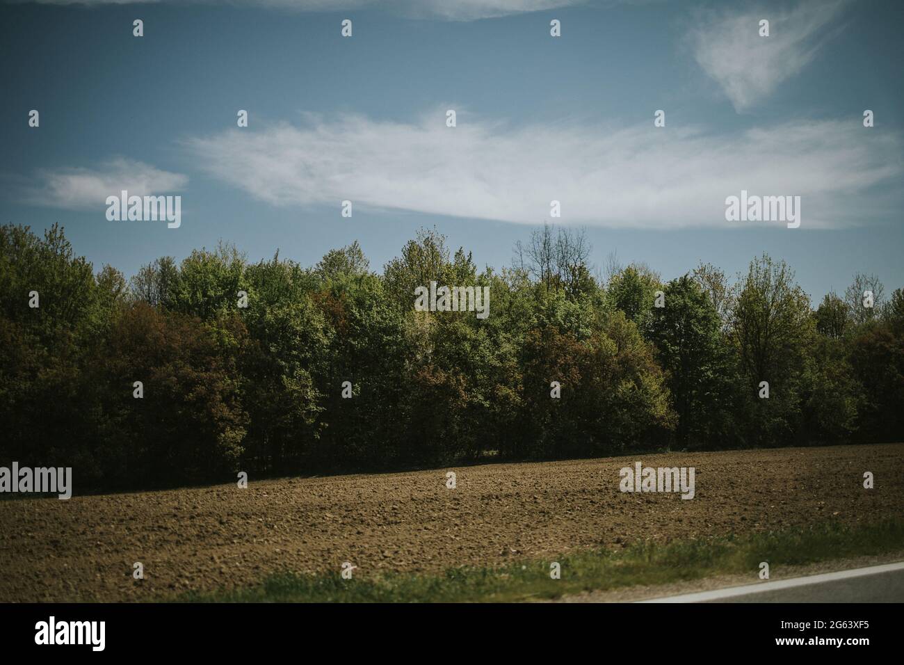 Landscape of a brownfield with trees background under a cloudy sky ...