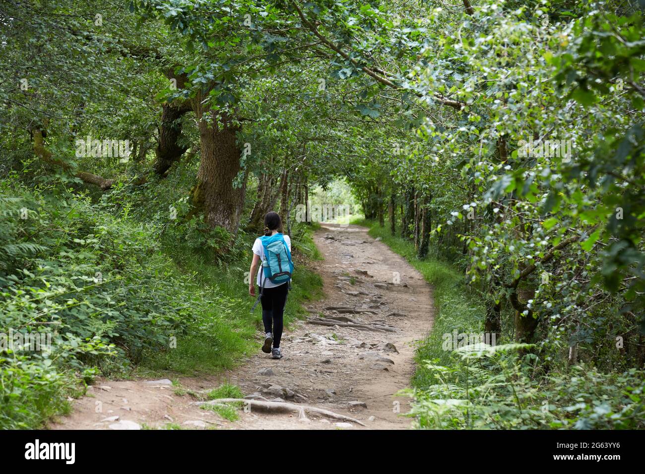 Pyrenees walking map hi-res stock photography and images - Alamy