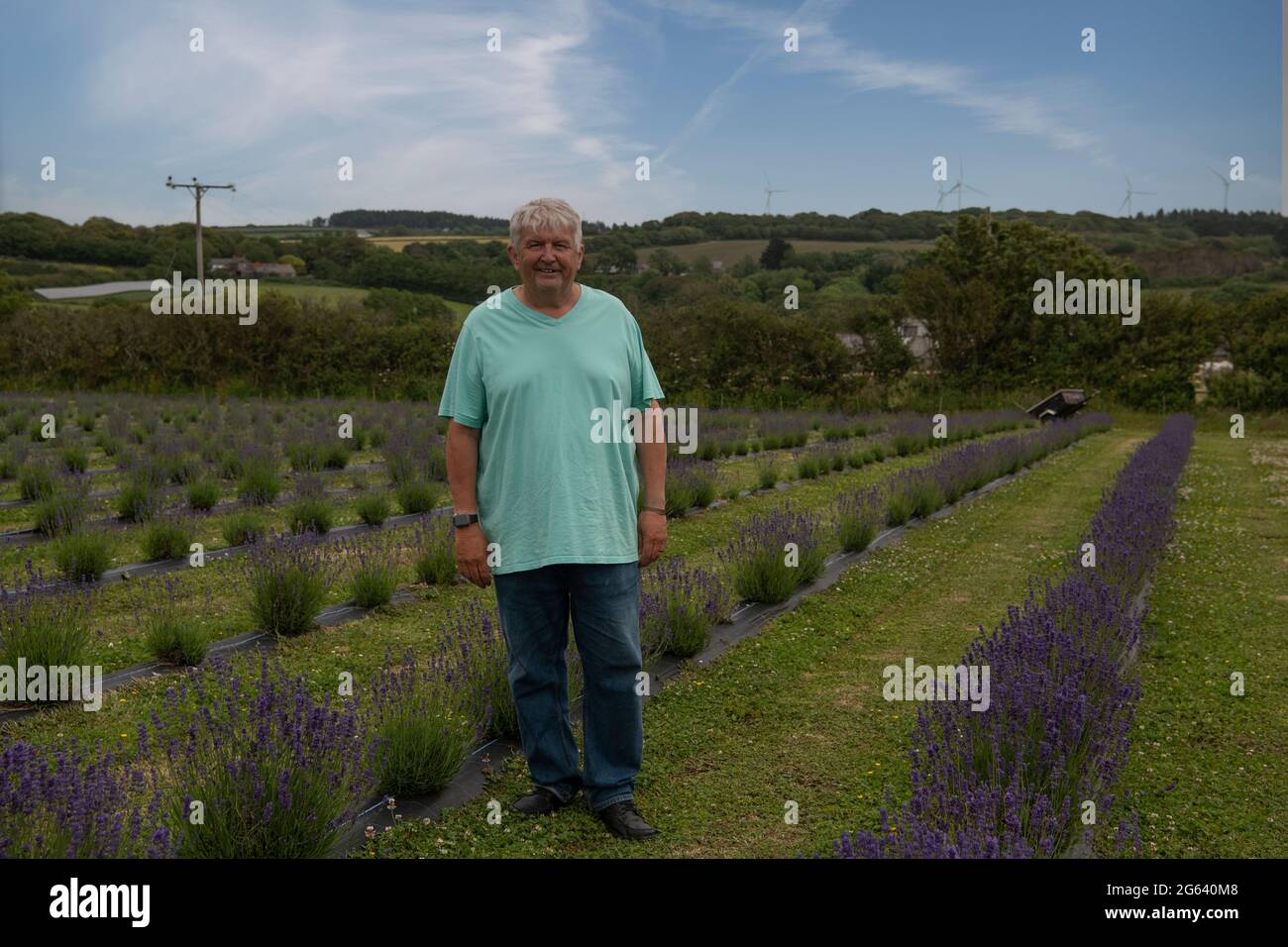 Lizard Peninsula Cornwall, we are the UK’s most southerly Lavender Farm ...
