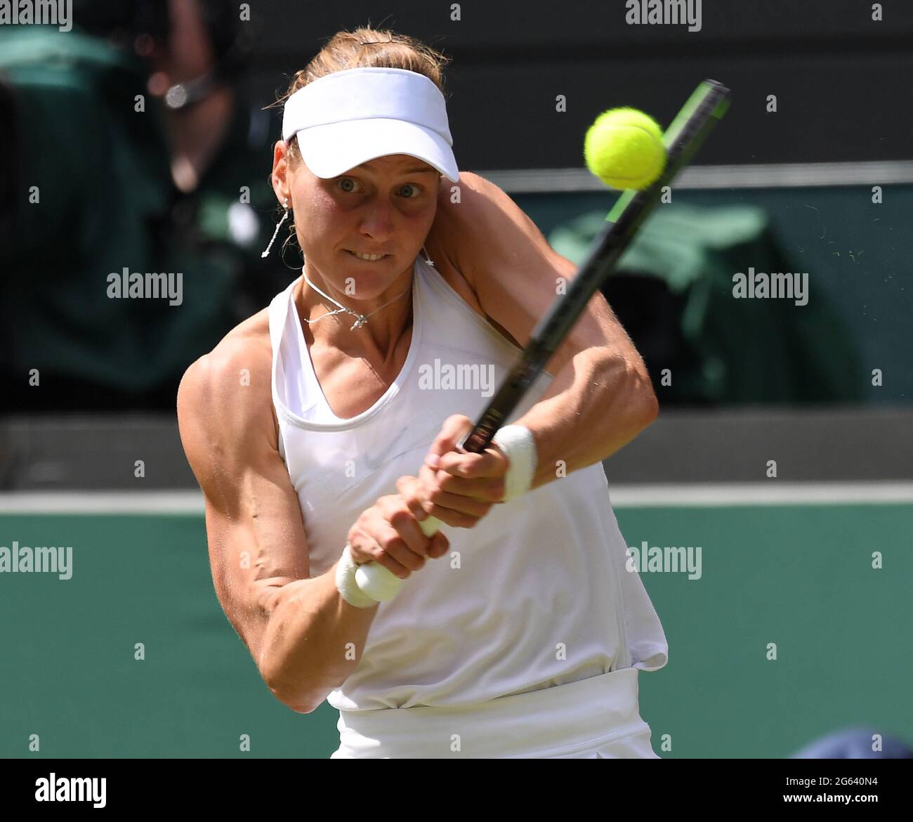 Liudmila samsonova hi-res stock photography and images - Alamy