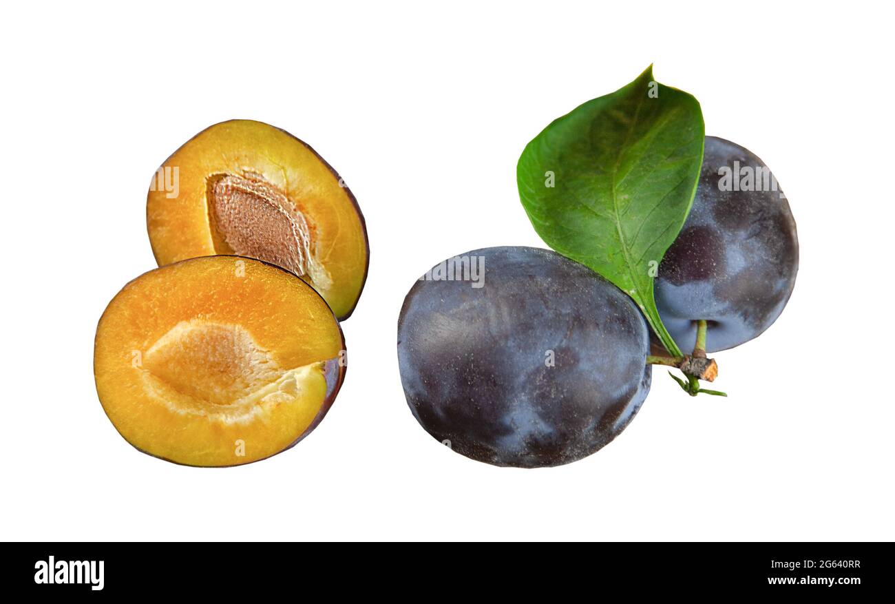 Two plums isolated on a white background. Whole plum and plum cut with ...