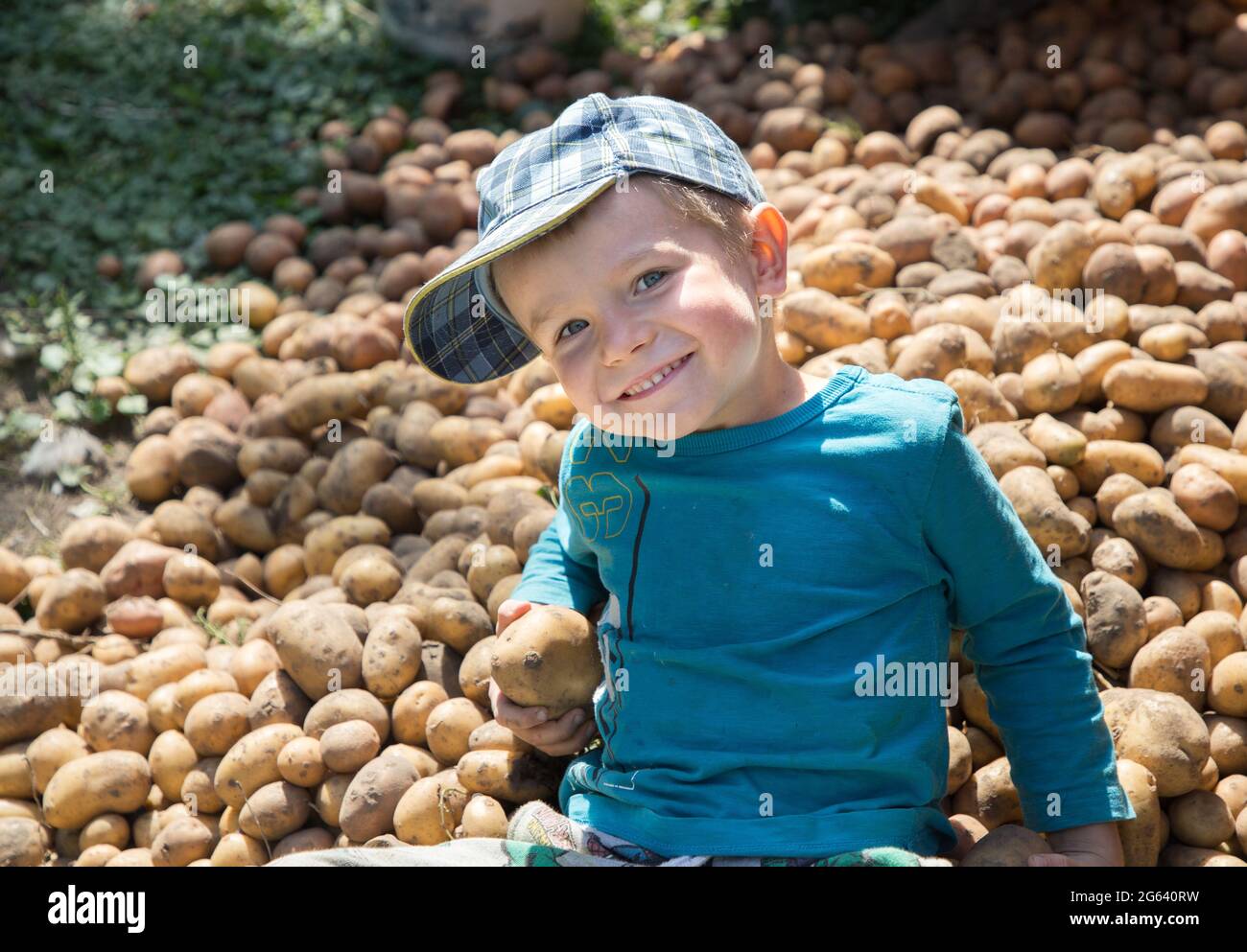 cute toddler boy in a blue longsleeve and a cap sits on a large pile of ...