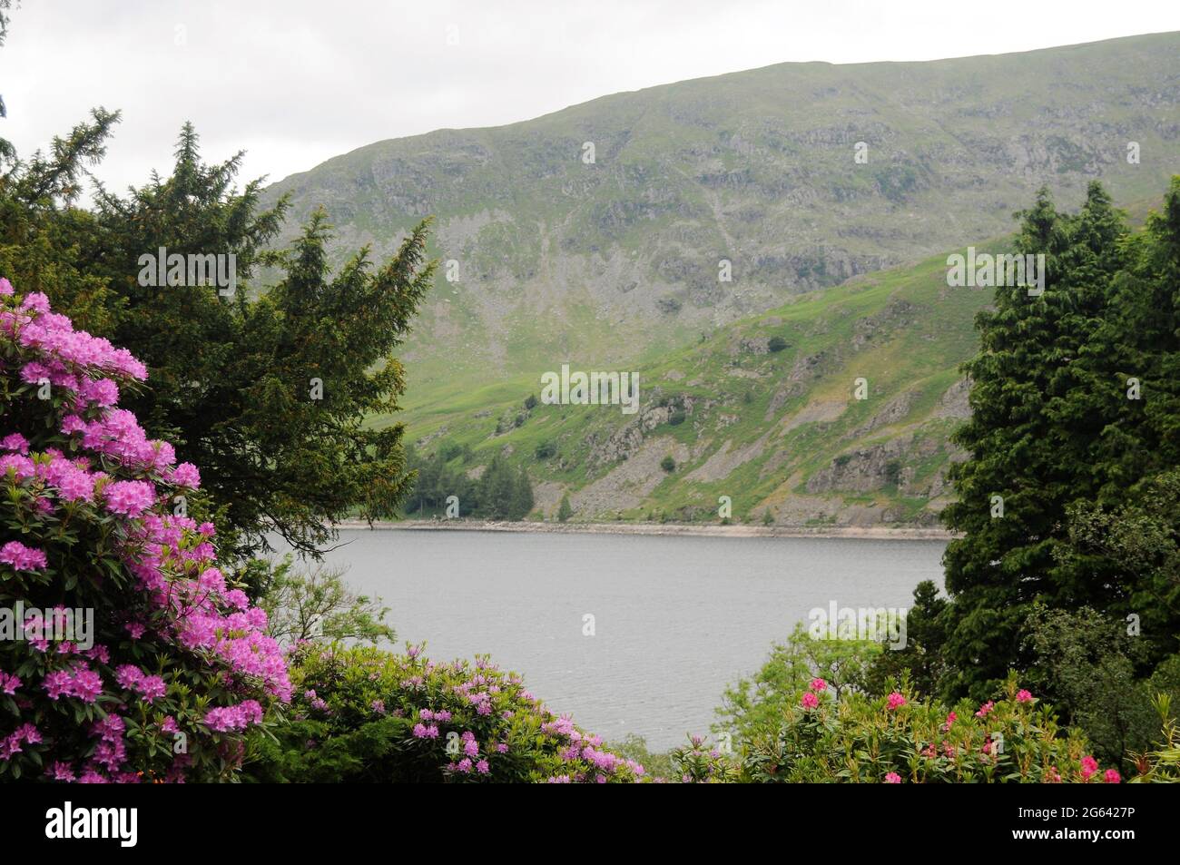 The view across Haweswater reservoir from a garden in the Lake District ...