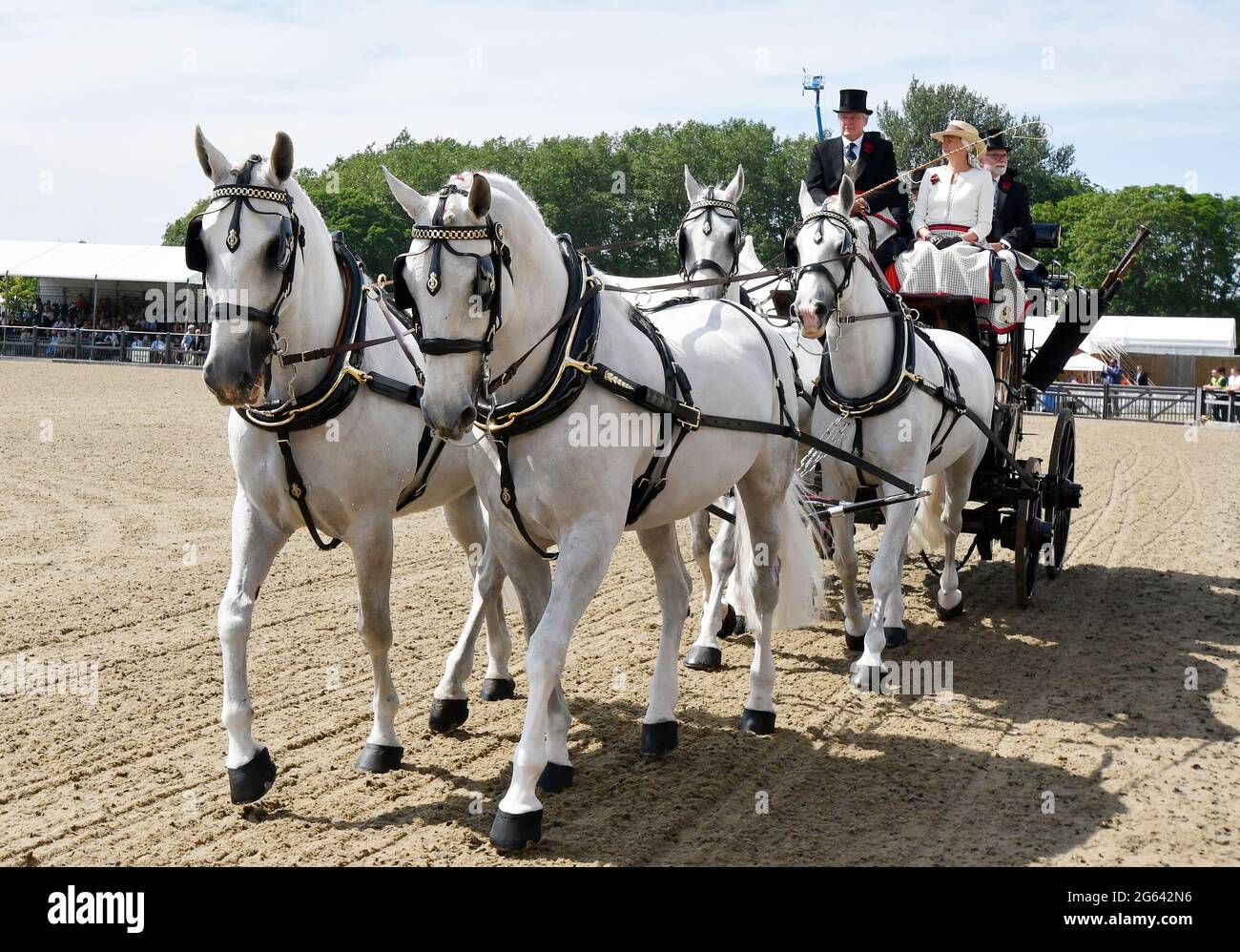 Marathon carriages hi-res stock photography and images - Alamy