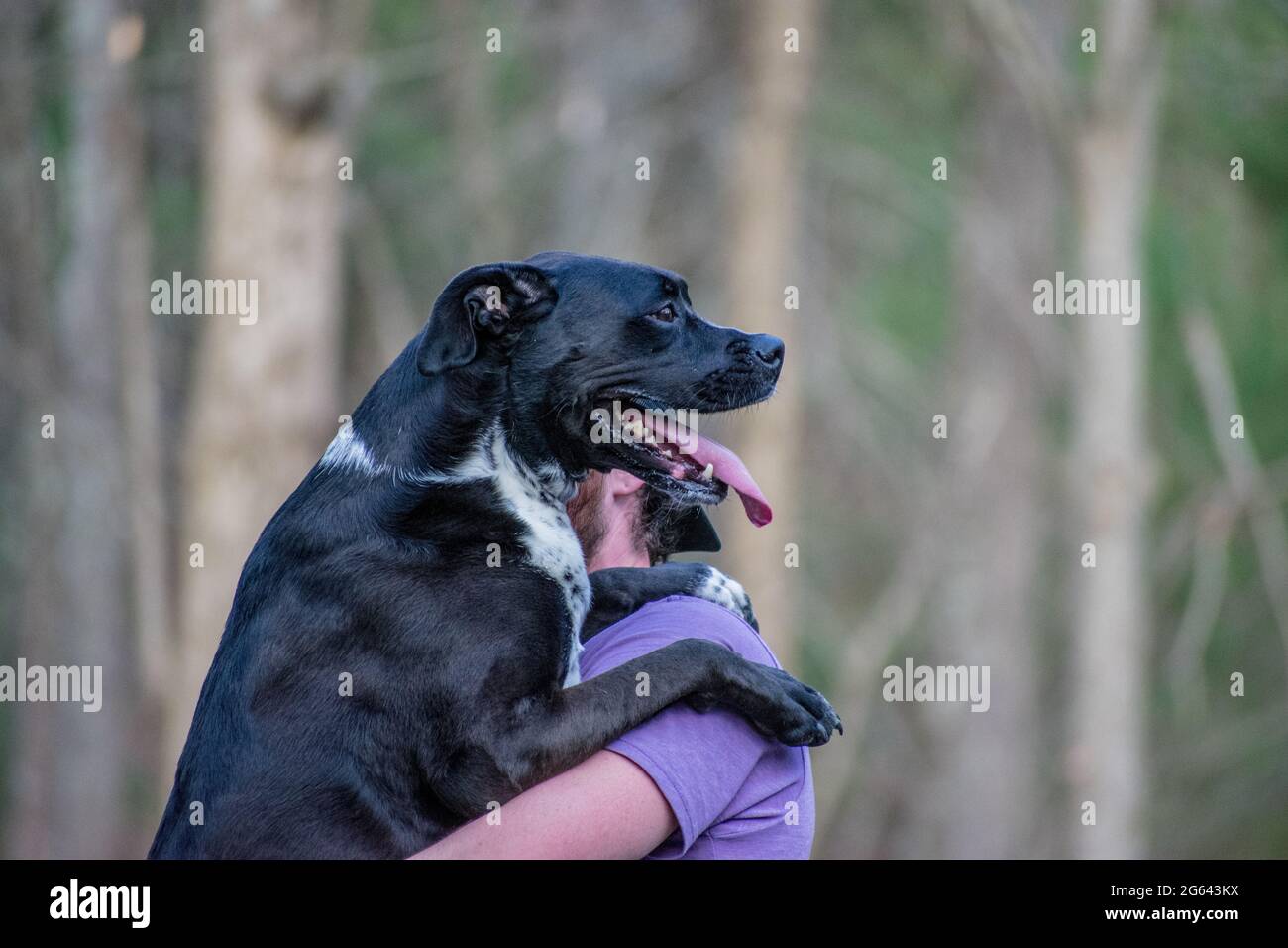 A man hugging his dog Stock Photo - Alamy