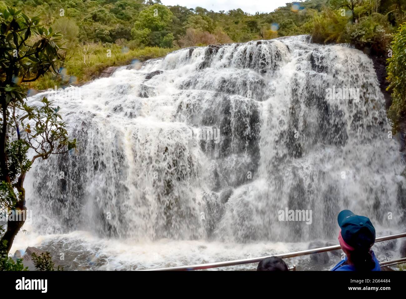 Baker s Falls Waterfall in a tropical rainforest of Horton Plains ...