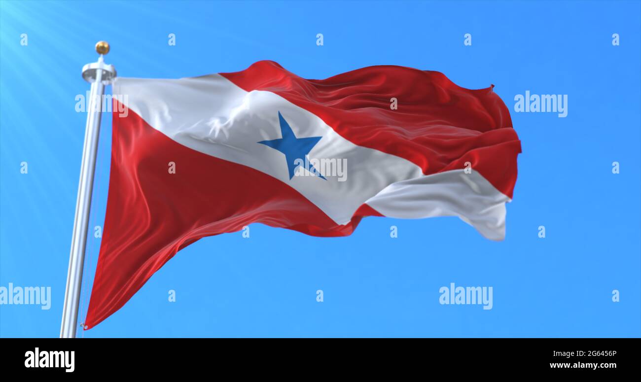 Flag of the state of para hi-res stock photography and images - Alamy