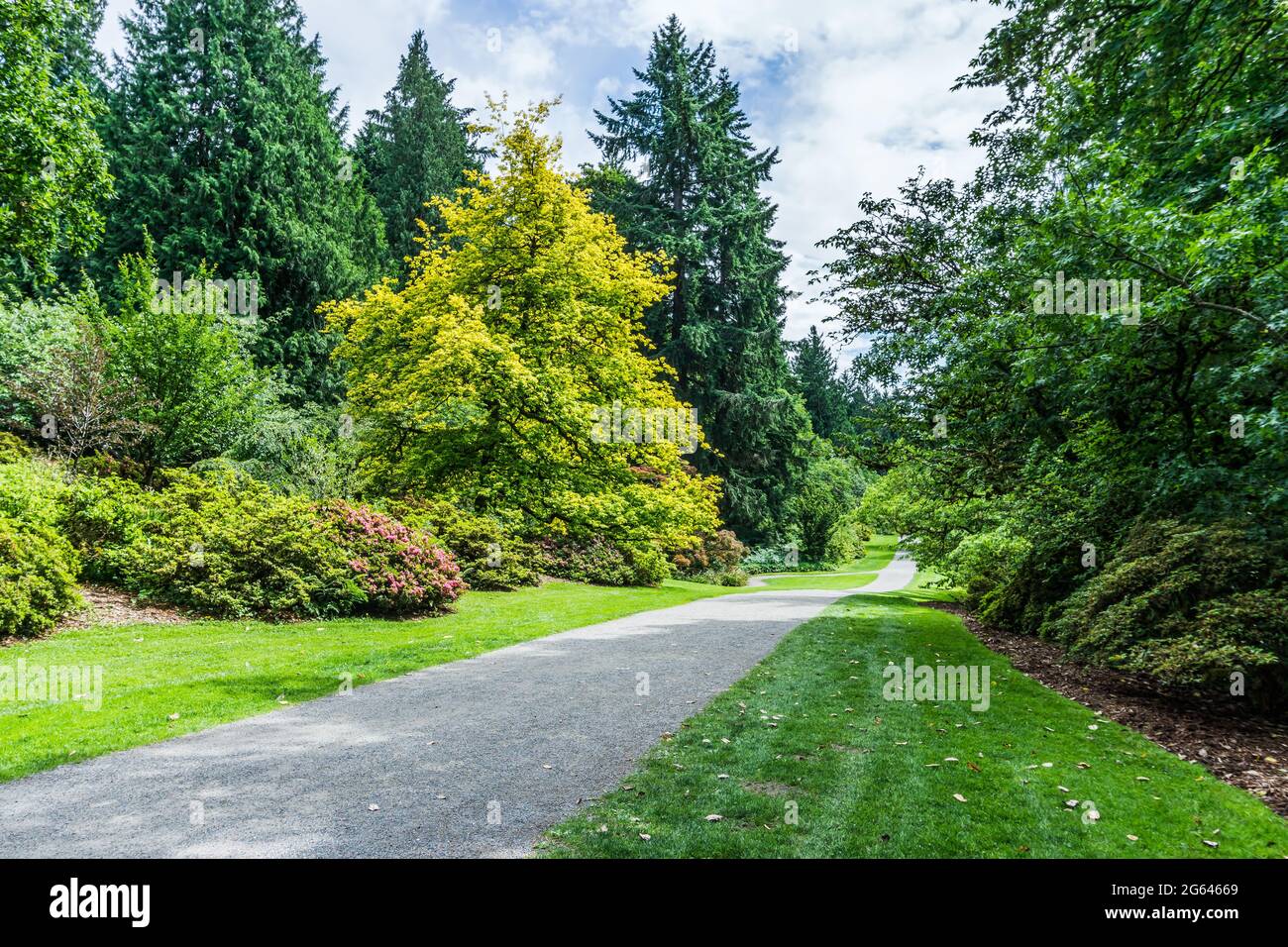 A trail through a garden in Seattle, Washington Stock Photo - Alamy