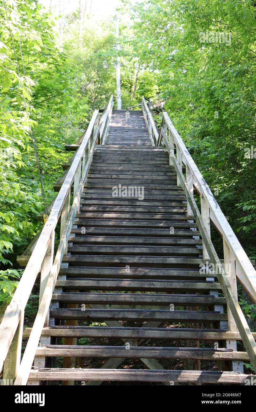 Long stairs in wood in the forest. Old stair. Exterior and urban ...