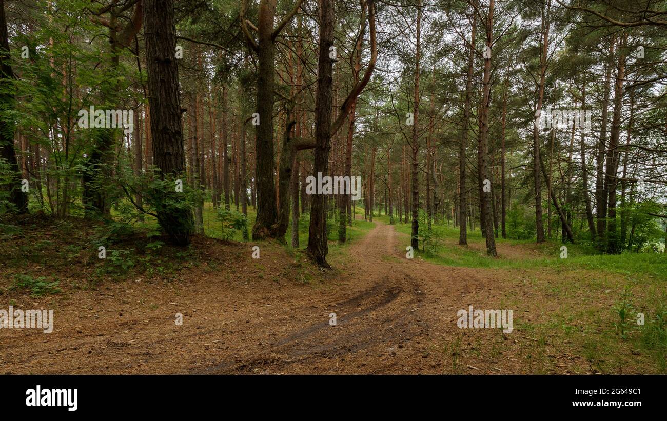Fantastic and amazing lanscape in the wild and unpolluted nature of ...