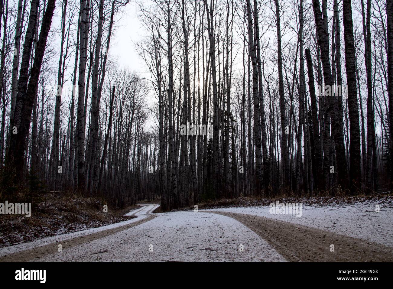 Prince albert national park hi-res stock photography and images - Alamy