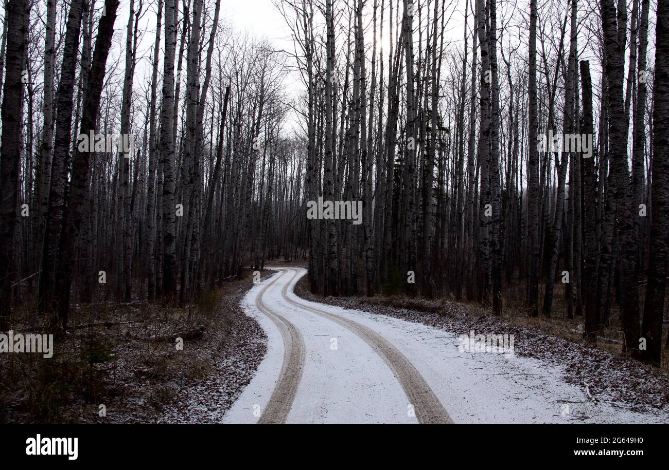 Prince albert national park hi-res stock photography and images - Alamy