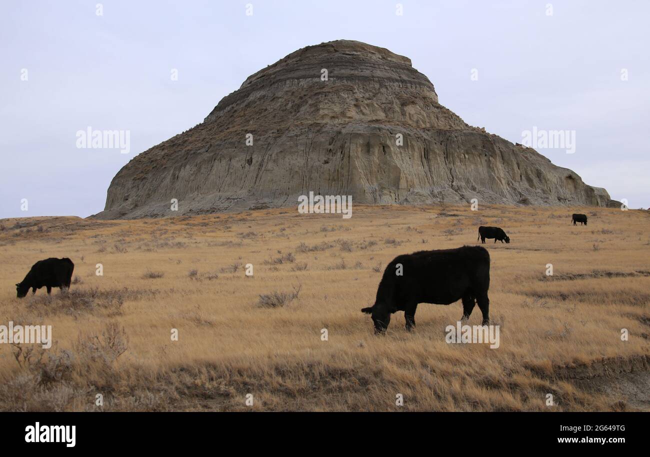 Badlands Saskatchewan Prairie Big Muddy Castle Butte Stock Photo - Alamy