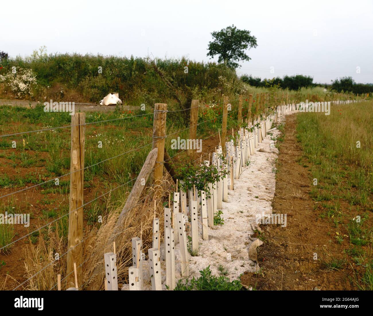 Changes to the countryside at Chipping Warden, Northamptonshire ...
