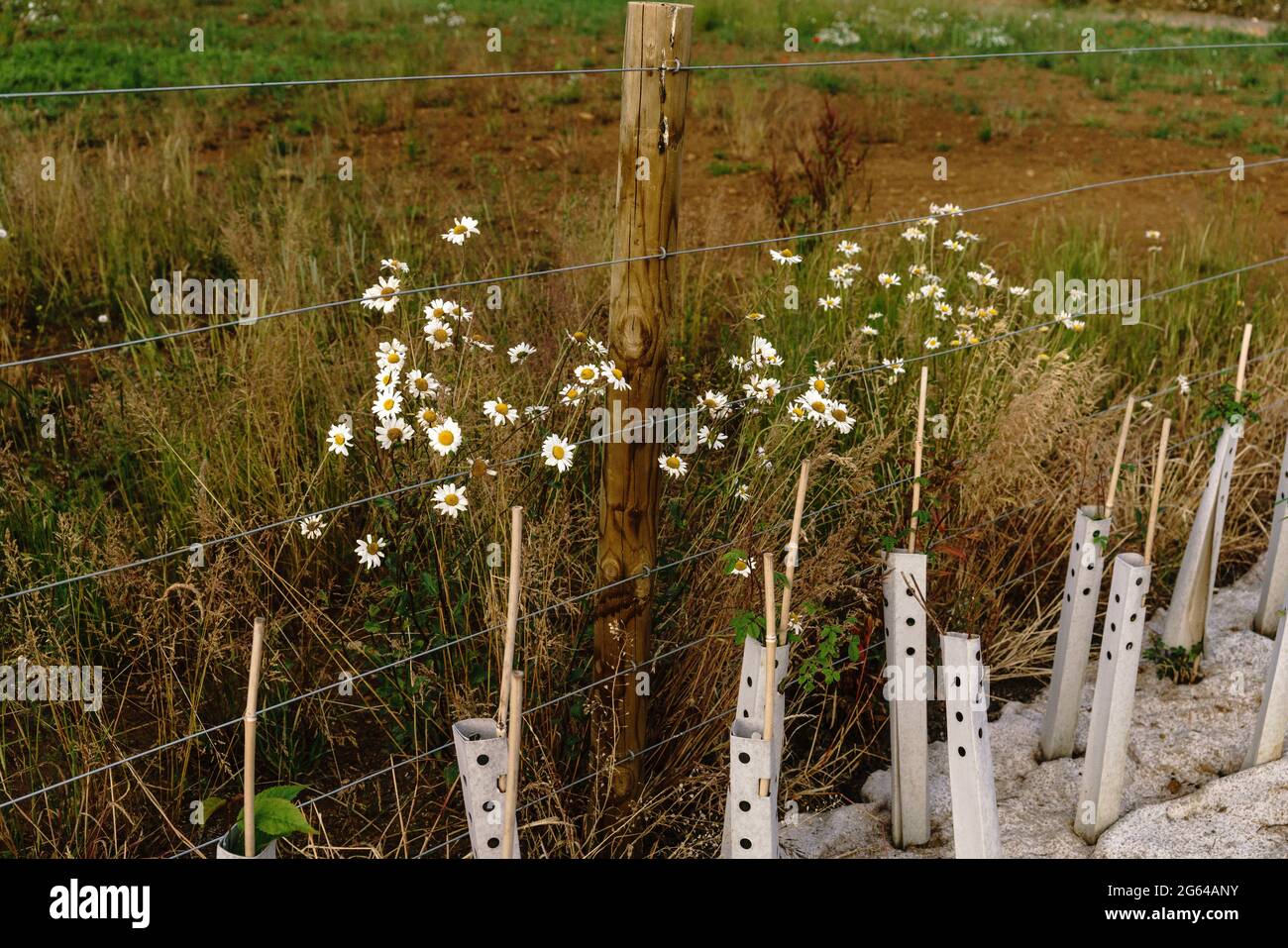 Changes to the countryside at Chipping Warden, Northamptonshire ...