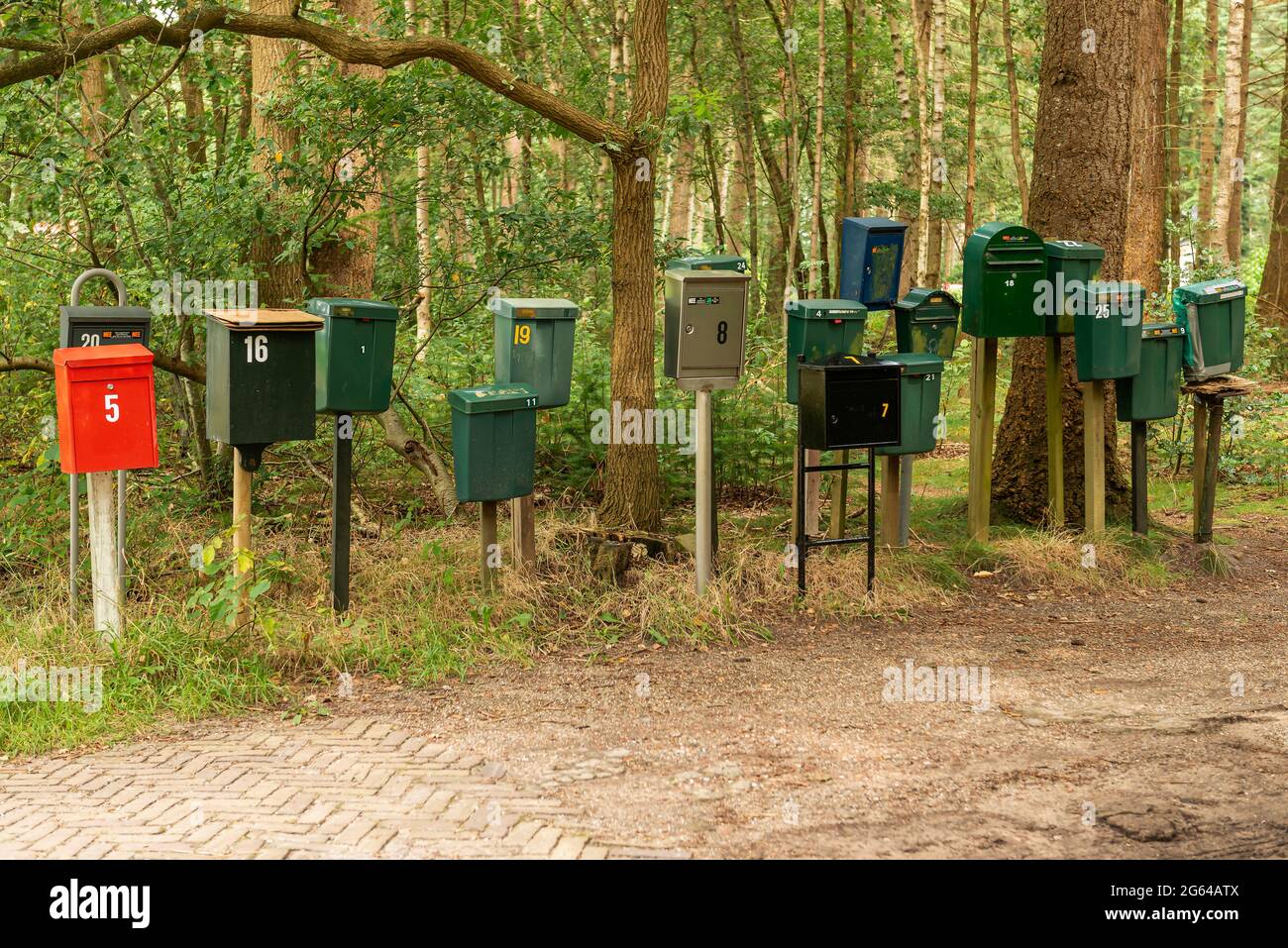 Colorful collection of various mailboxes with house numbers on a forest ...