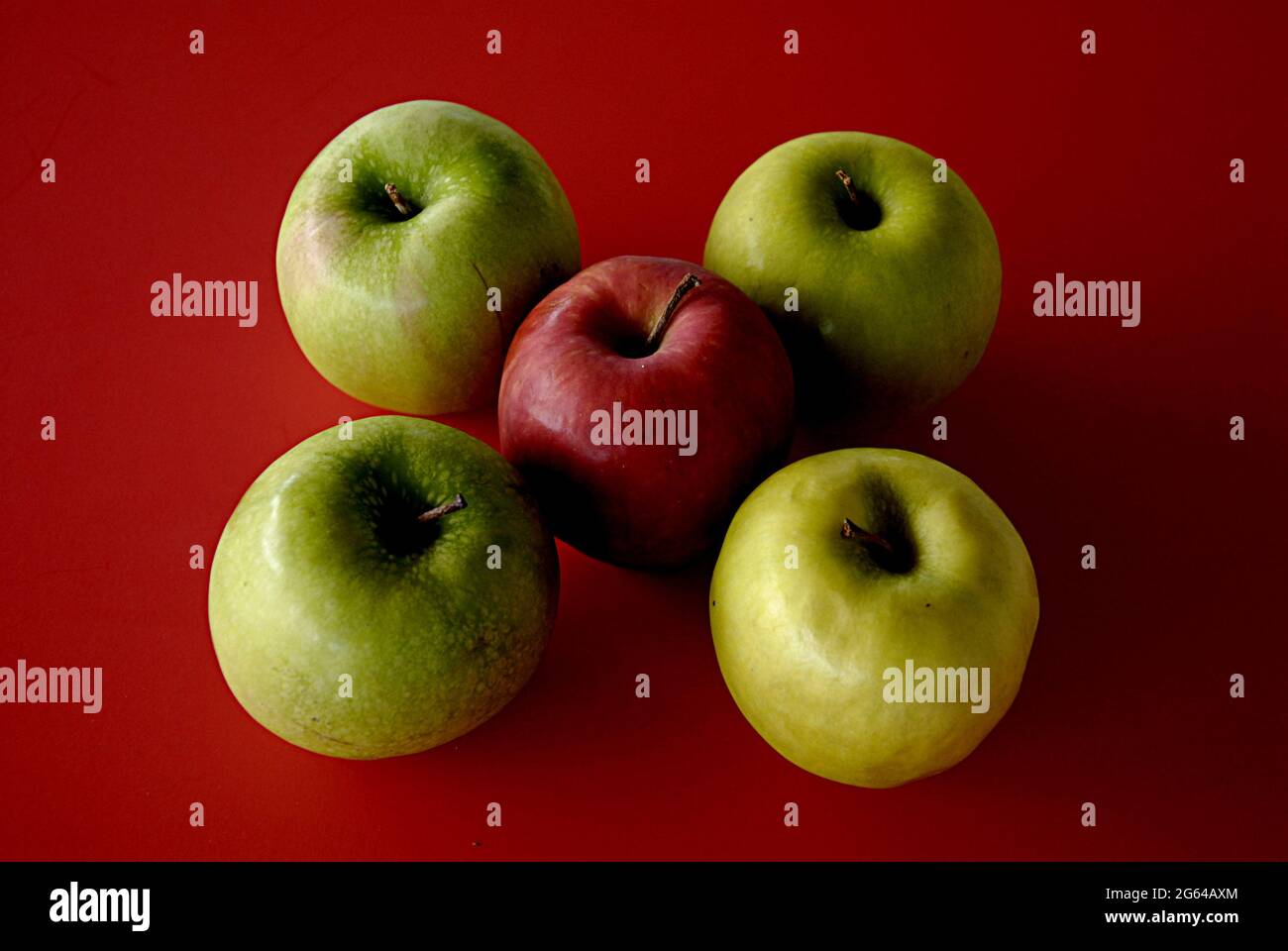 LEWISTON/IDAHO /USA- Apple fruit four green apples and one red apple 03 ...