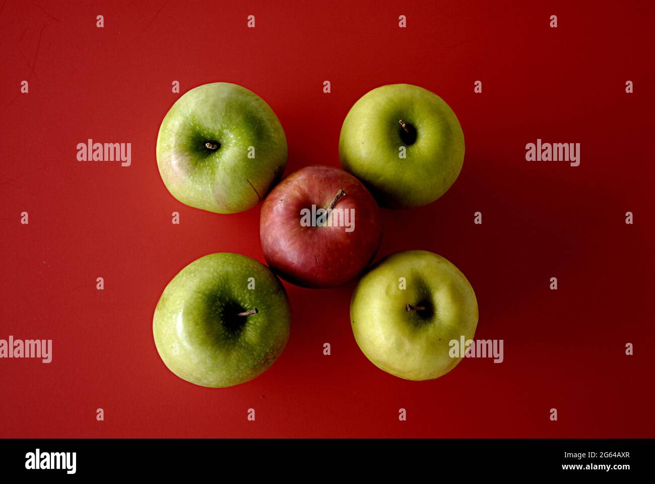 LEWISTON/IDAHO /USA- Apple fruit four green apples and one red apple 03 ...