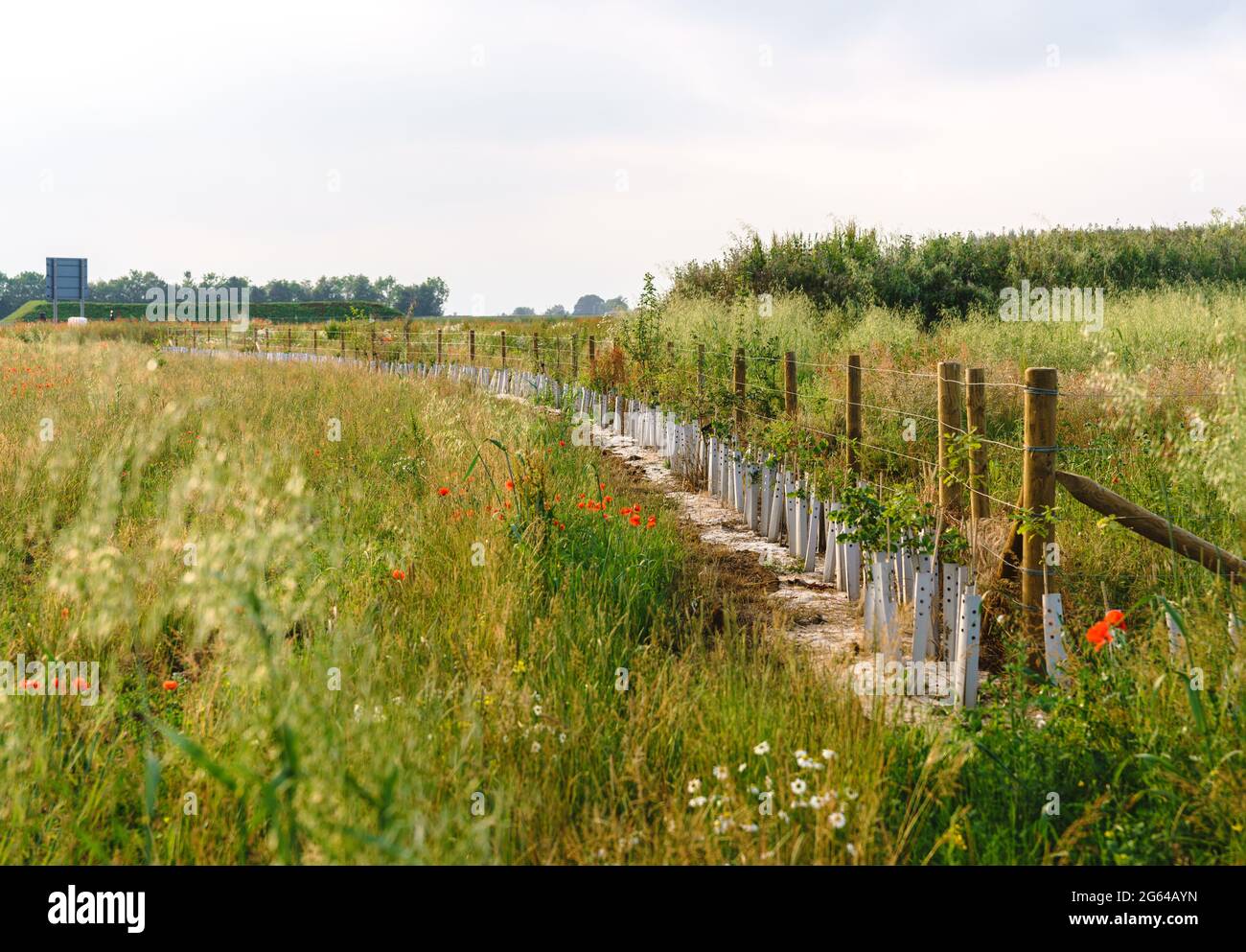 Changes to the countryside at Chipping Warden, Northamptonshire ...