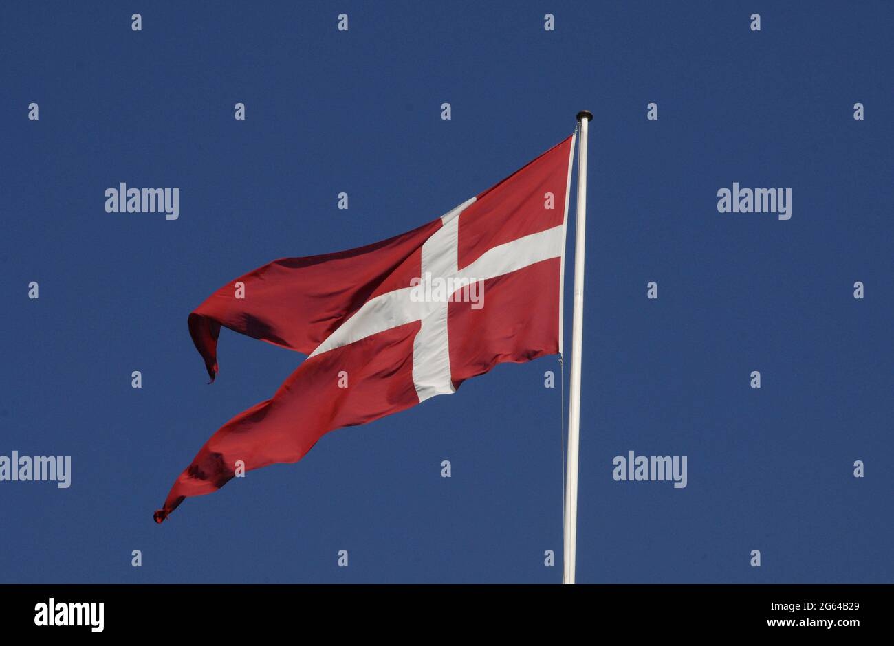 Copenhagen/Denmark/ 23 August 2015 Dannebrog red and white danish flag ...