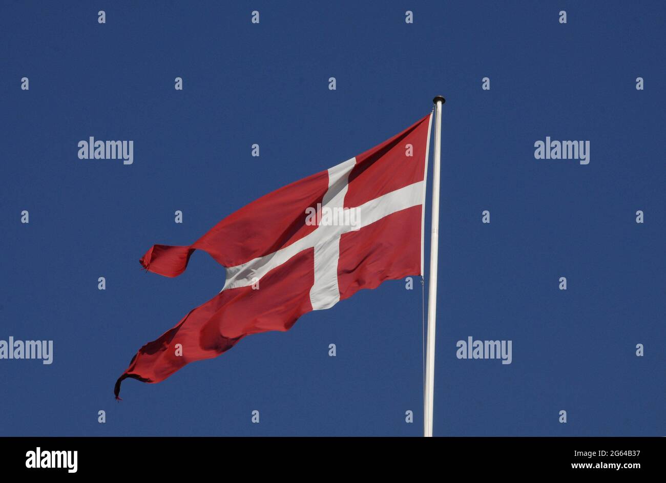 Copenhagen/Denmark/ 23 August 2015 Dannebrog red and white danish flag ...