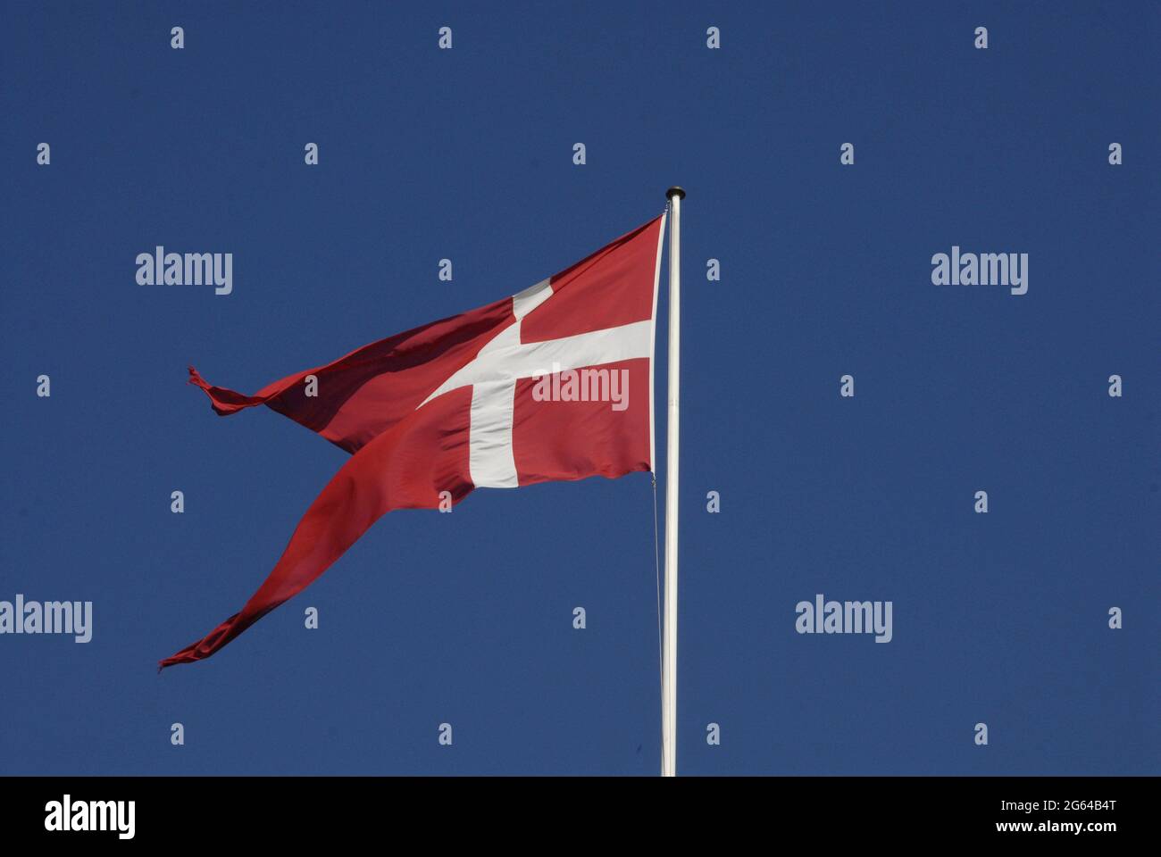 Copenhagen/Denmark/ 23 August 2015 Dannebrog red and white danish flag ...