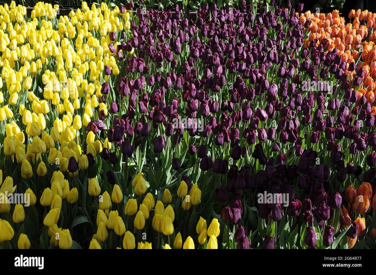 Easter tivoli opening hi-res stock photography and images - Alamy