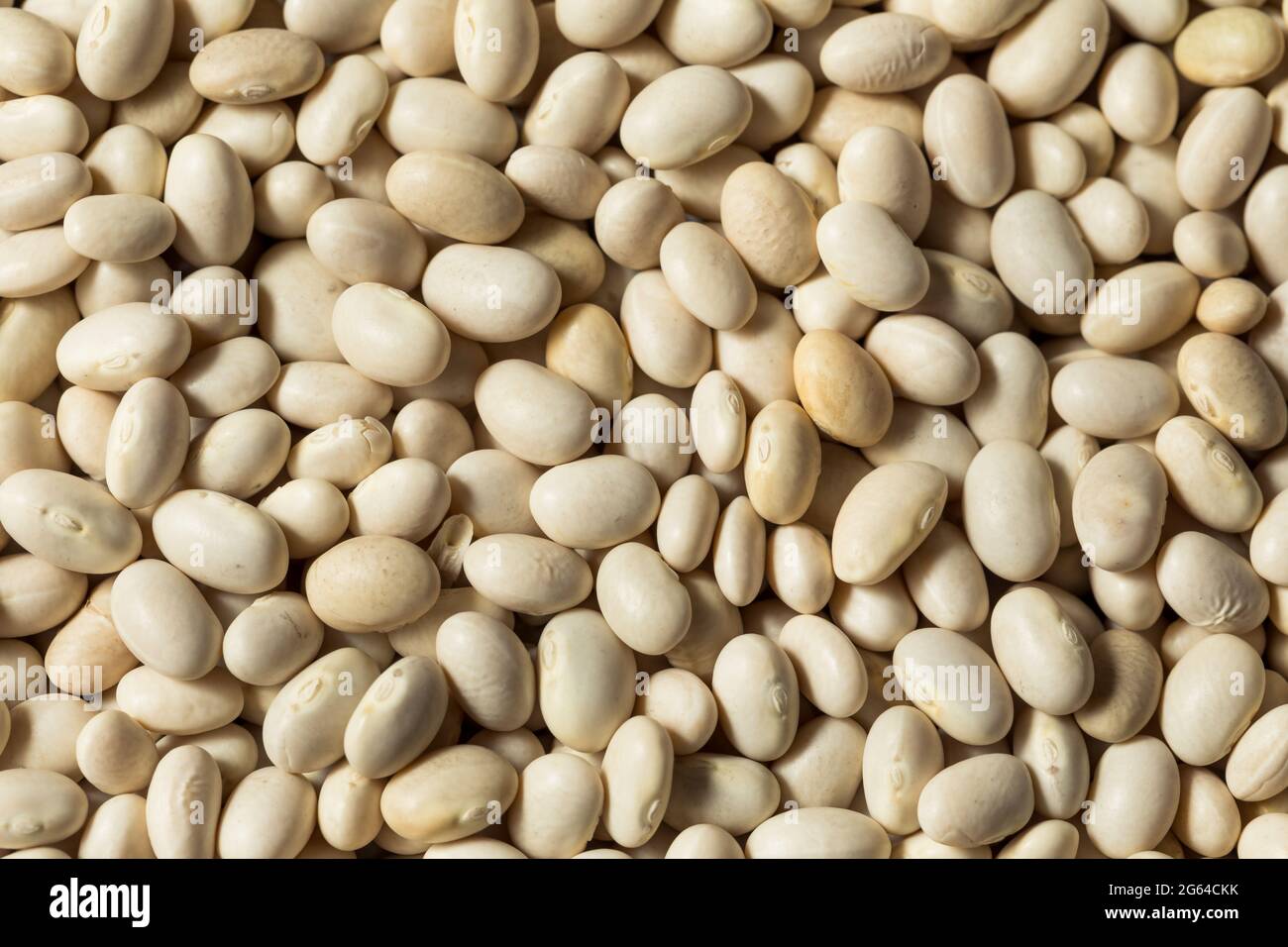 Healthy Organic Dry White Beans in a Bowl Stock Photo - Alamy